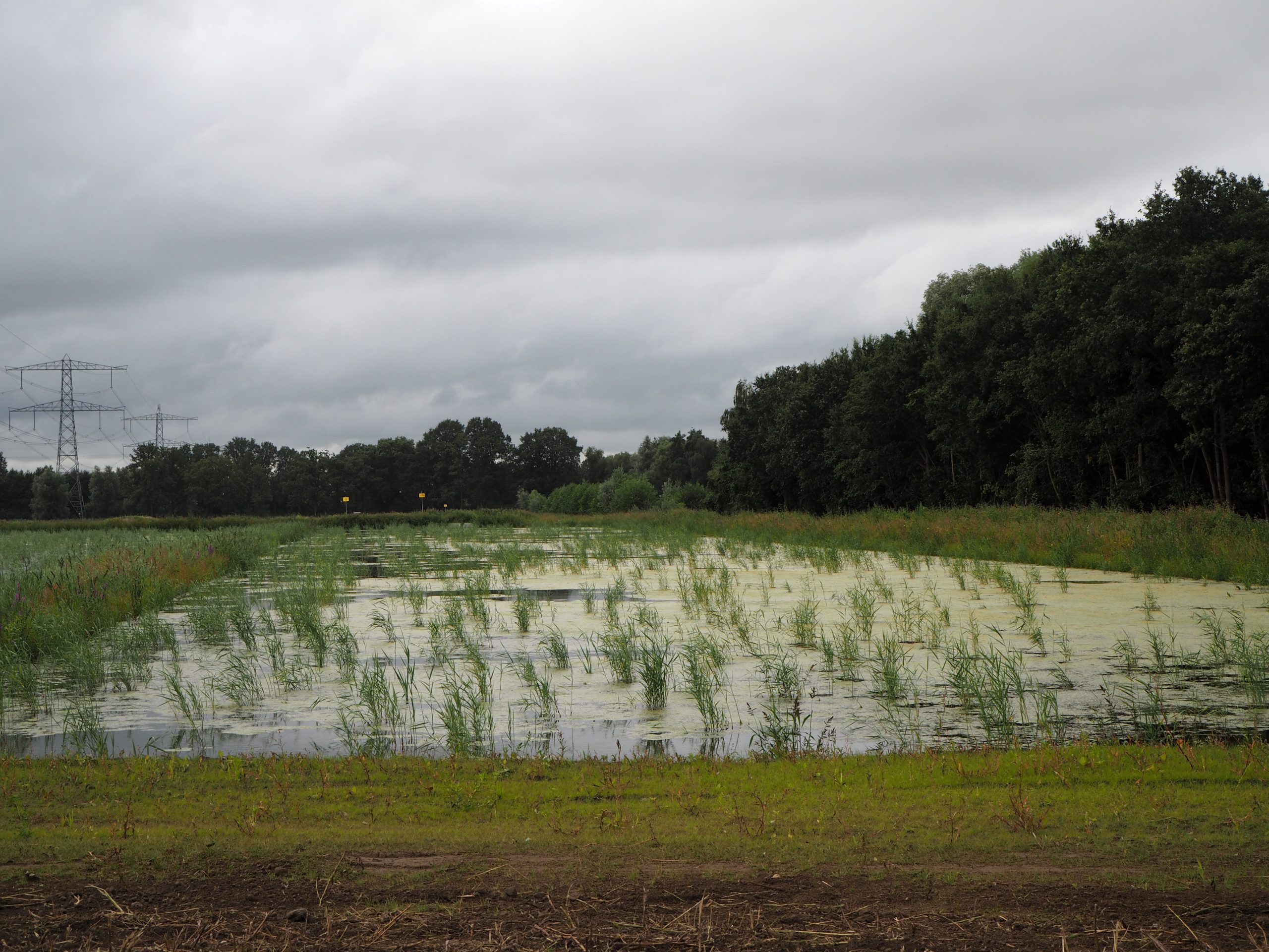 Waterplas koelt duurzaam het ziekenhuis ZGT in Almelo | Nieuwe Energie ...